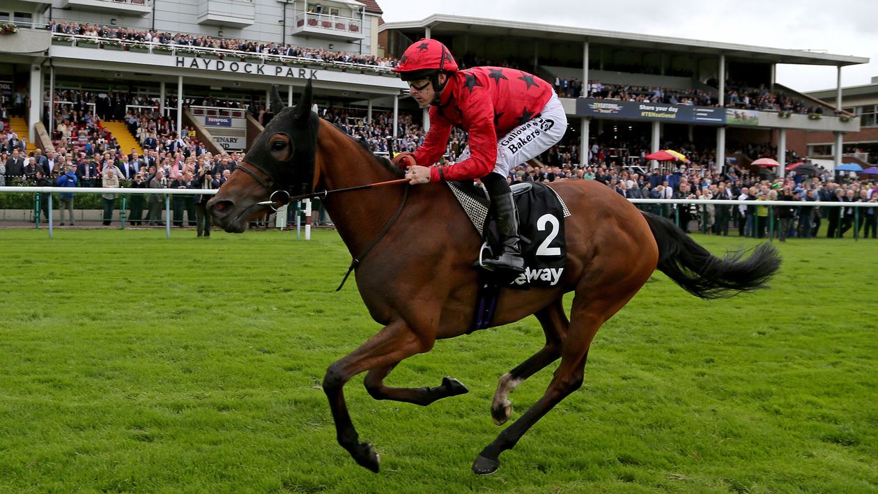 Champions Day for Pinnacle Stakes winner Bateel