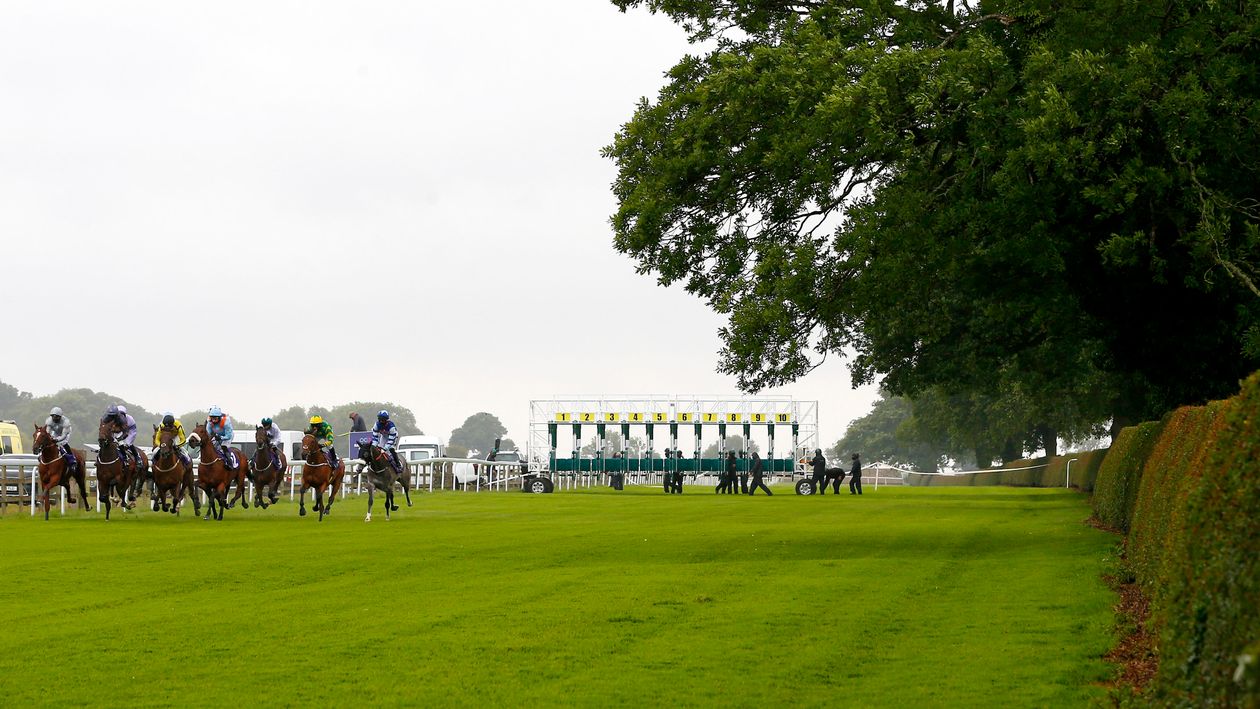 Beverley tips on Monday: Which horses will be suited by soft ground?