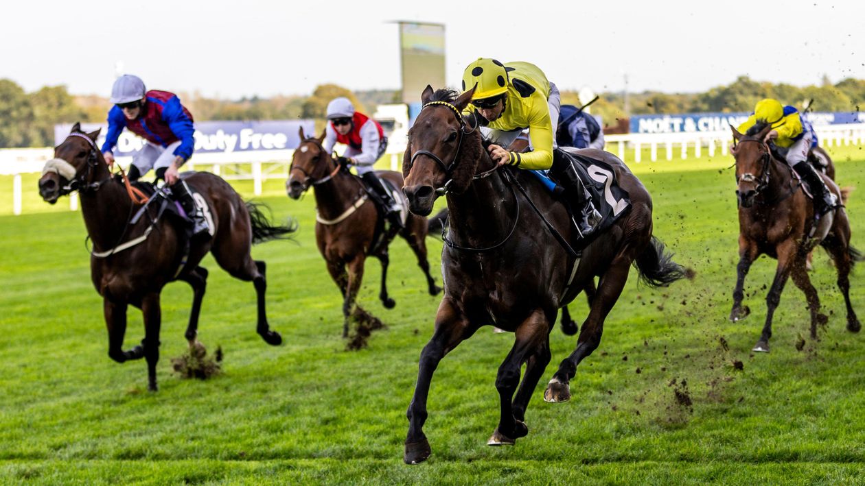 Ascot Saturday review and replays: Emaraaty Ana wins Rous Stakes