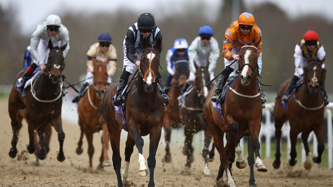 Timeform tips and analysis: Monday pace angles