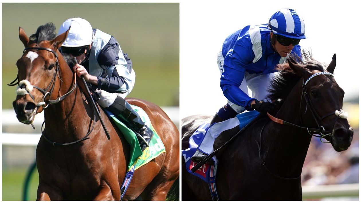 York Saturday preview: David Ord looks ahead to the big-race action