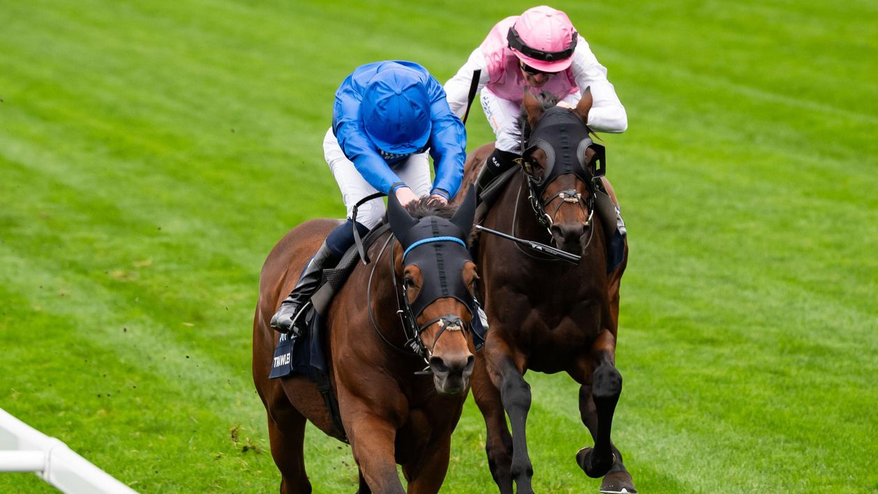 Qipco British Champions Long Distance Cup report, reaction and free ...