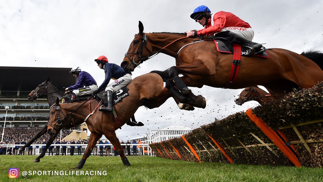 How to bet on Cheltenham Festival? Check out our basic introduction and ...