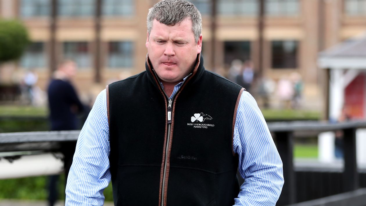 Gordon Elliott describes fatal fall of Mighty Potter at Fairyhouse as ...