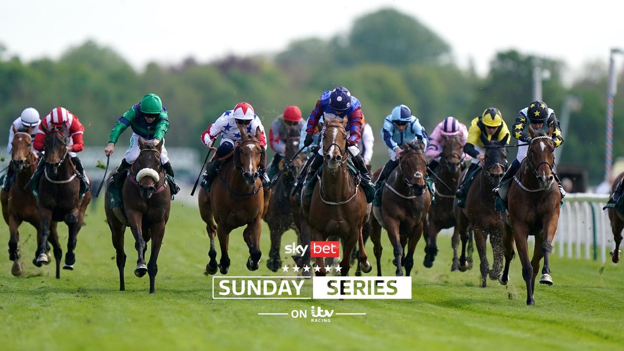 Sky Bet Sunday Series: Timeform York guide ahead of May 22 meeting