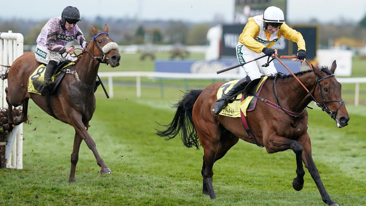 Cheltenham market movers: Best backed horses for today