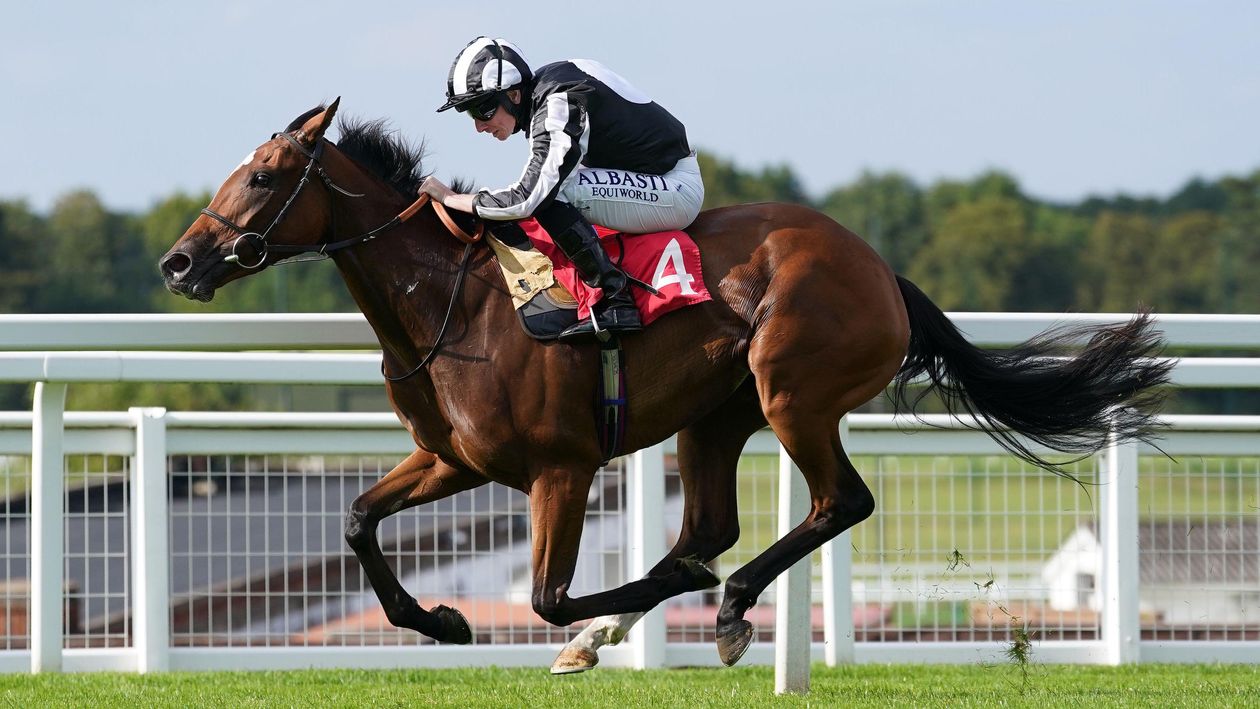 Derby and Oaks trials at York's Dante Festival including Ancient Wisdom ...