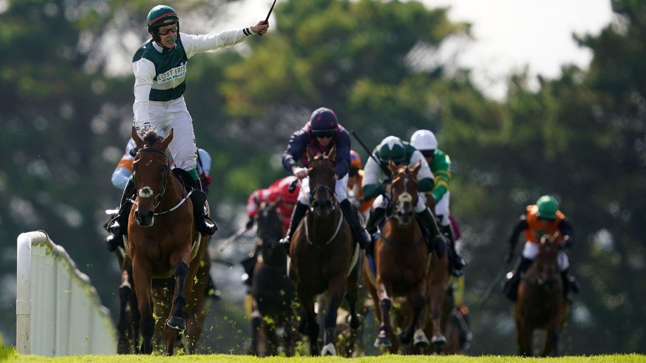 Galway Festival 2025: Day by day guide to the Ballybrit meeting