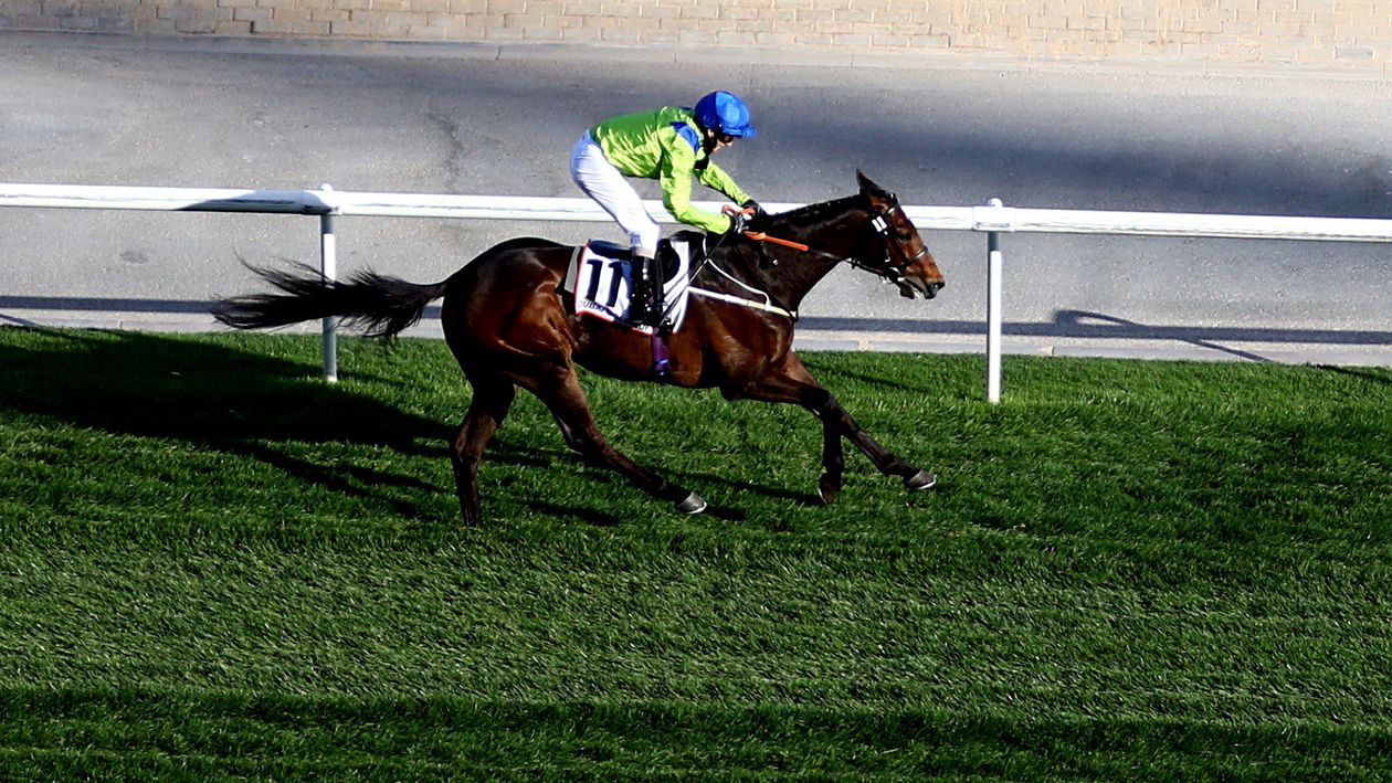 Subjectivist building up to return to Meydan for Dubai Gold Cup