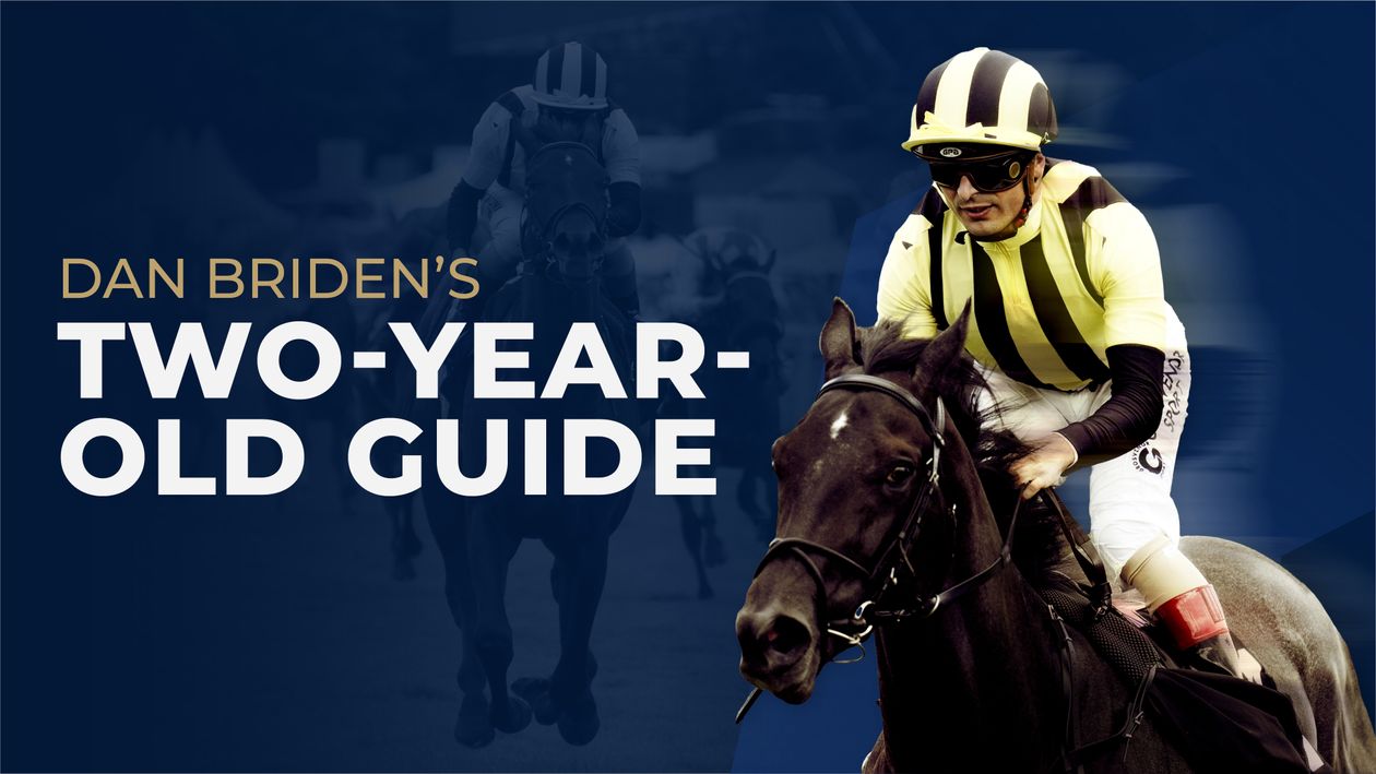 Two-Year-Old Guide: John and Thady Gosden