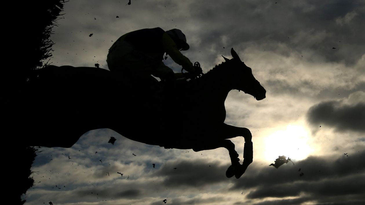 Timeform: The Great Essays - Golden Cygnet