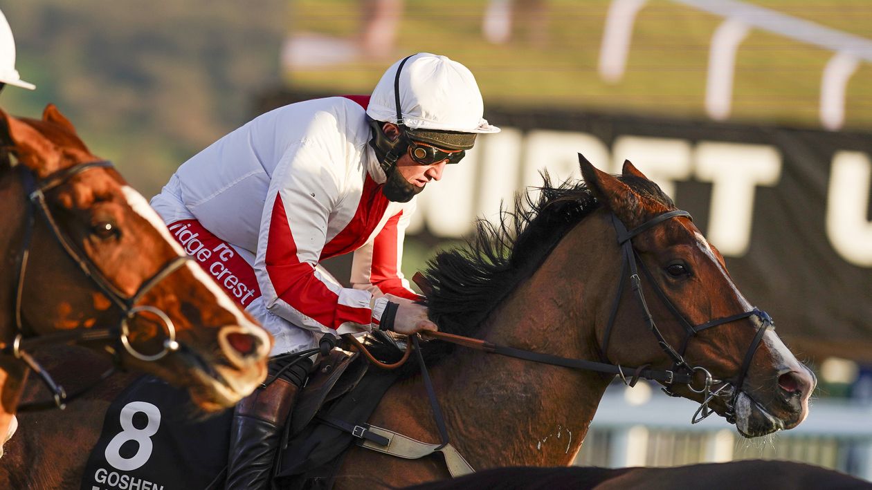 Cassie Tully on the pedigrees of the 2021 Champion Hurdle contenders ...