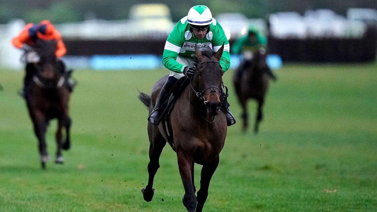 Paddock analysis from the Christmas period part two | Ed Keeper, Matata ...