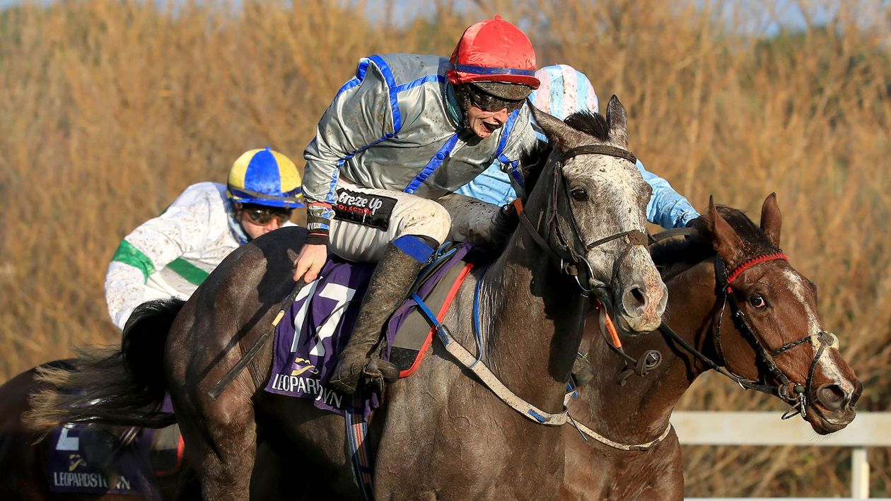 Martin Brassil has National aspirations with Panda Boy