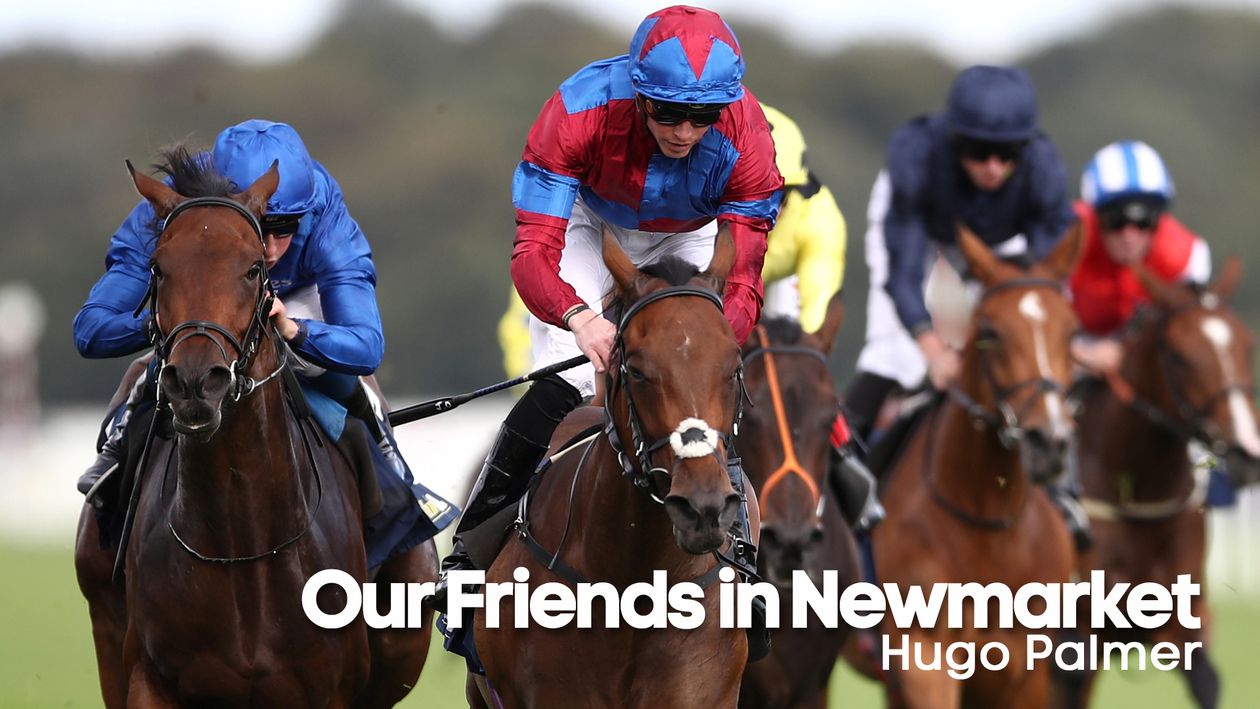 Our Friends in Newmarket - Hugo Palmer Stable Tour including Powerful ...