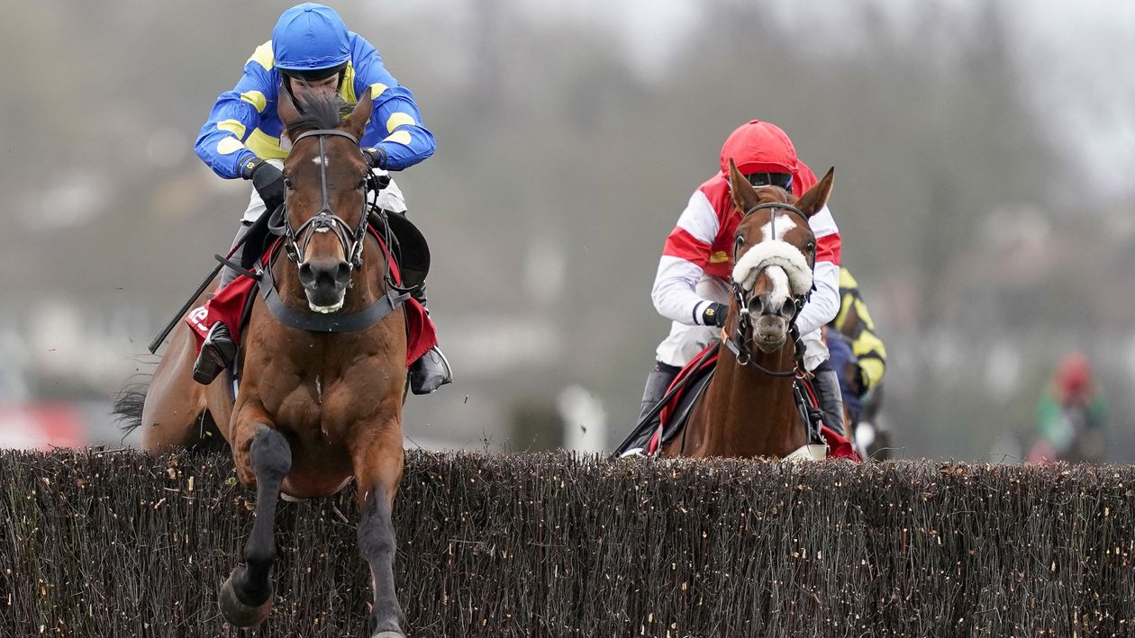 Dan Skelton – Ladbrokes Trophy ‘massively tempting’ for Shan Blue