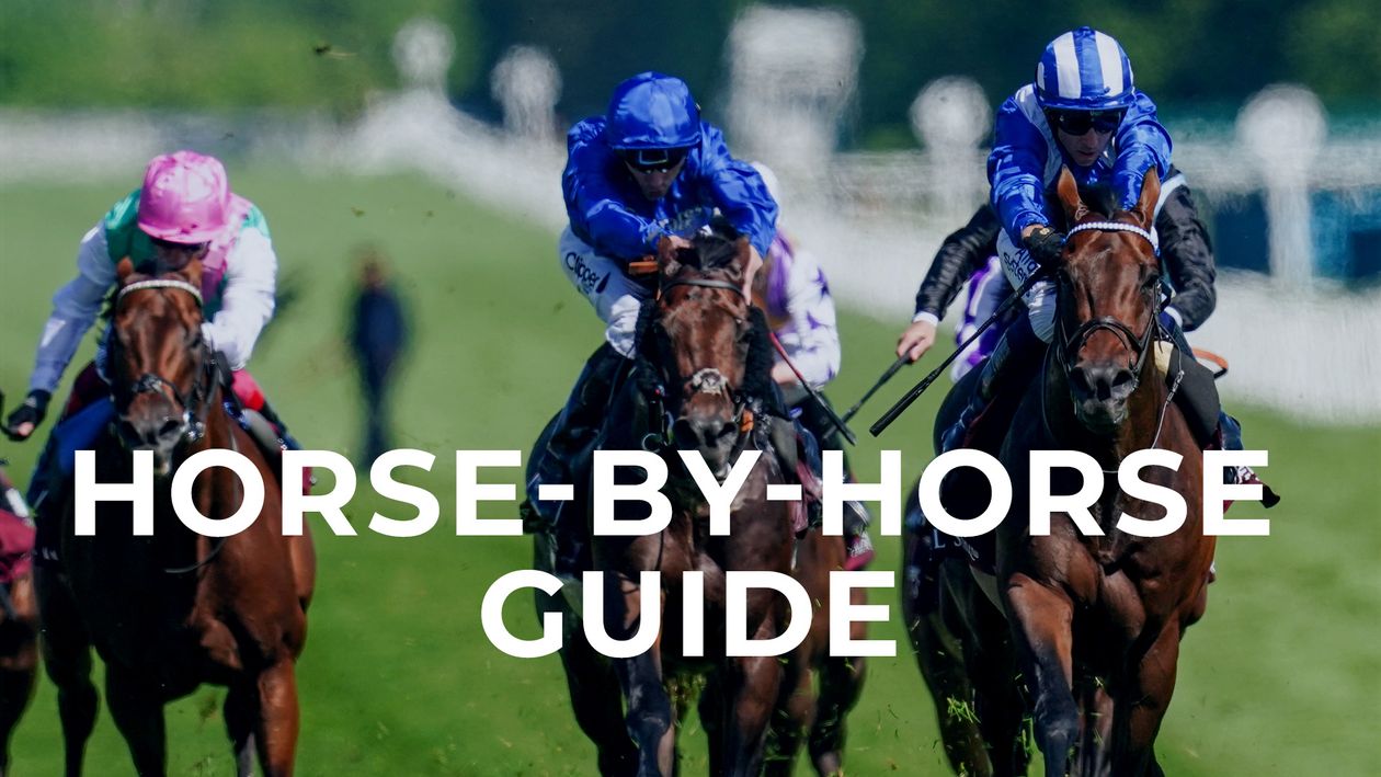 Lockinge Stakes tips: Horse by horse guide and Value Bet shortlist for ...