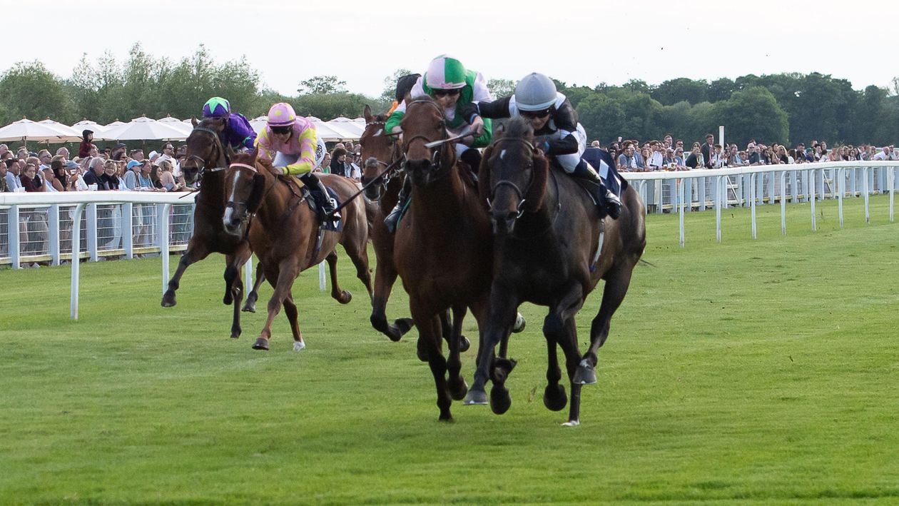 York Friday preview: Tom Clover takes aim with Jumbeau