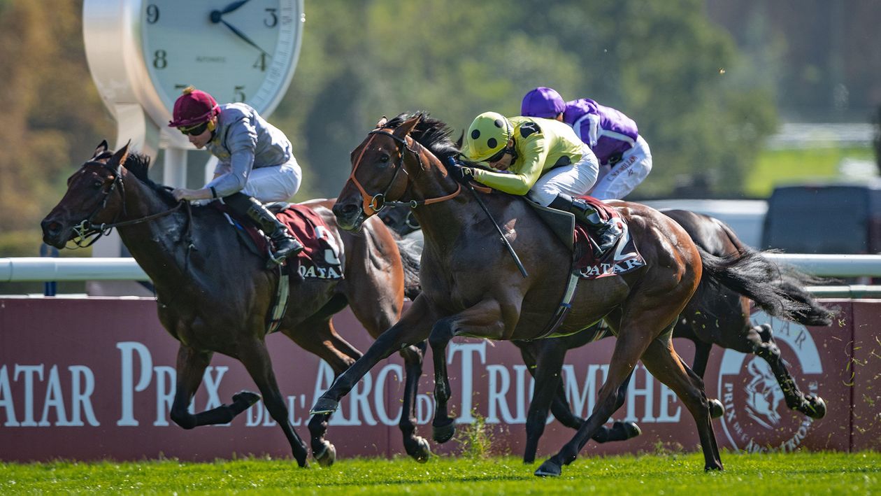 Richard Hannon Stable Tour including Rosallion