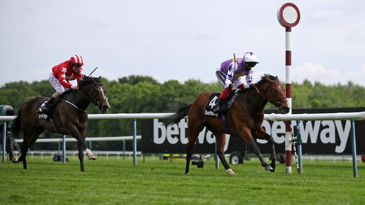 Horse racing analysis: Haydock course guide and key statistics