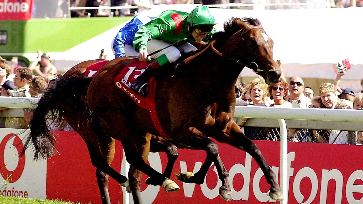 My Favourite Derby: Simon Holt reflects on a special moment as Sinndar ...