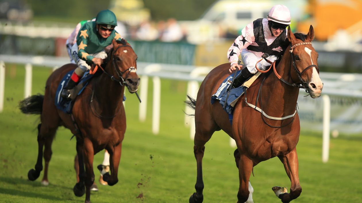 Dan Briden Two-Year-Old Guide: Charlie Johnston