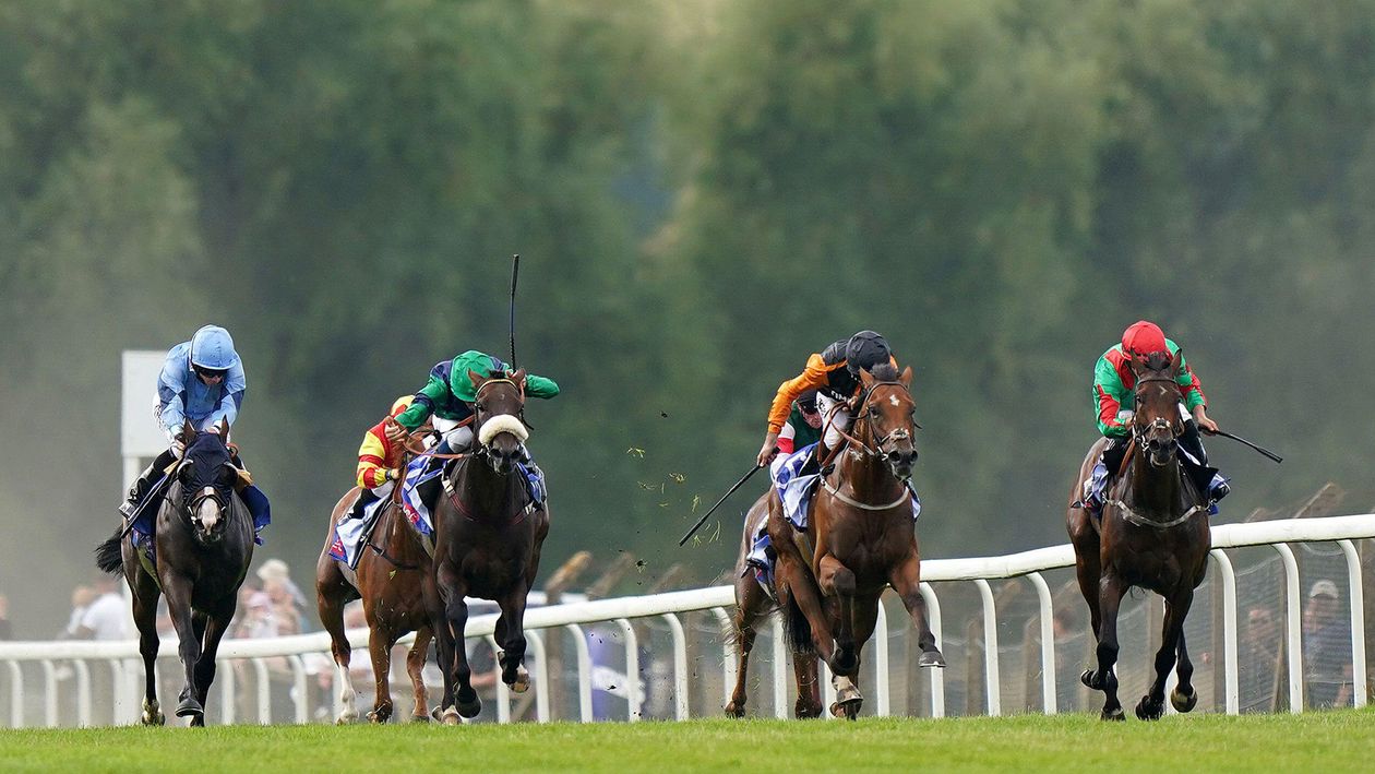 Go Racing In Yorkshire Summer Festival: Full details and horses to follow