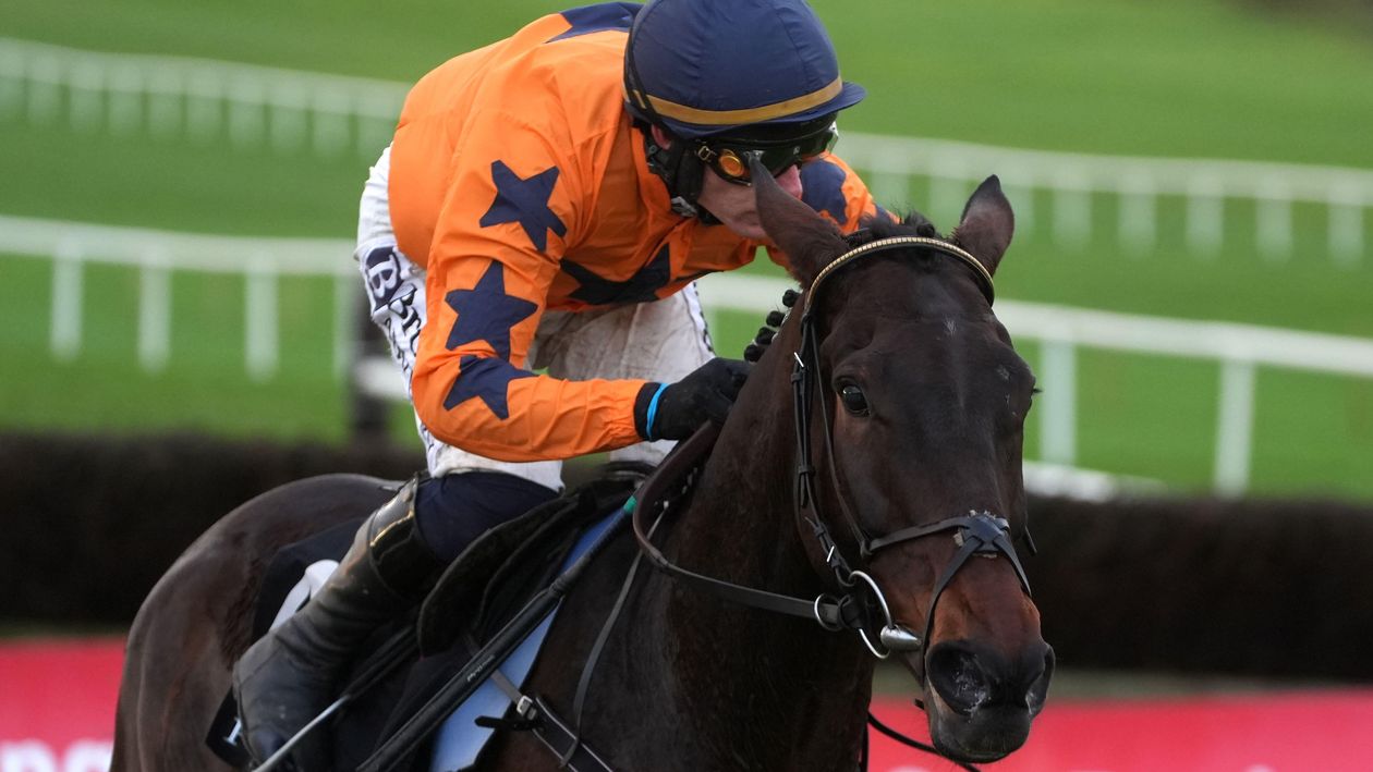 Majborough heads Champion Chase on Wednesday at Cheltenham Festival