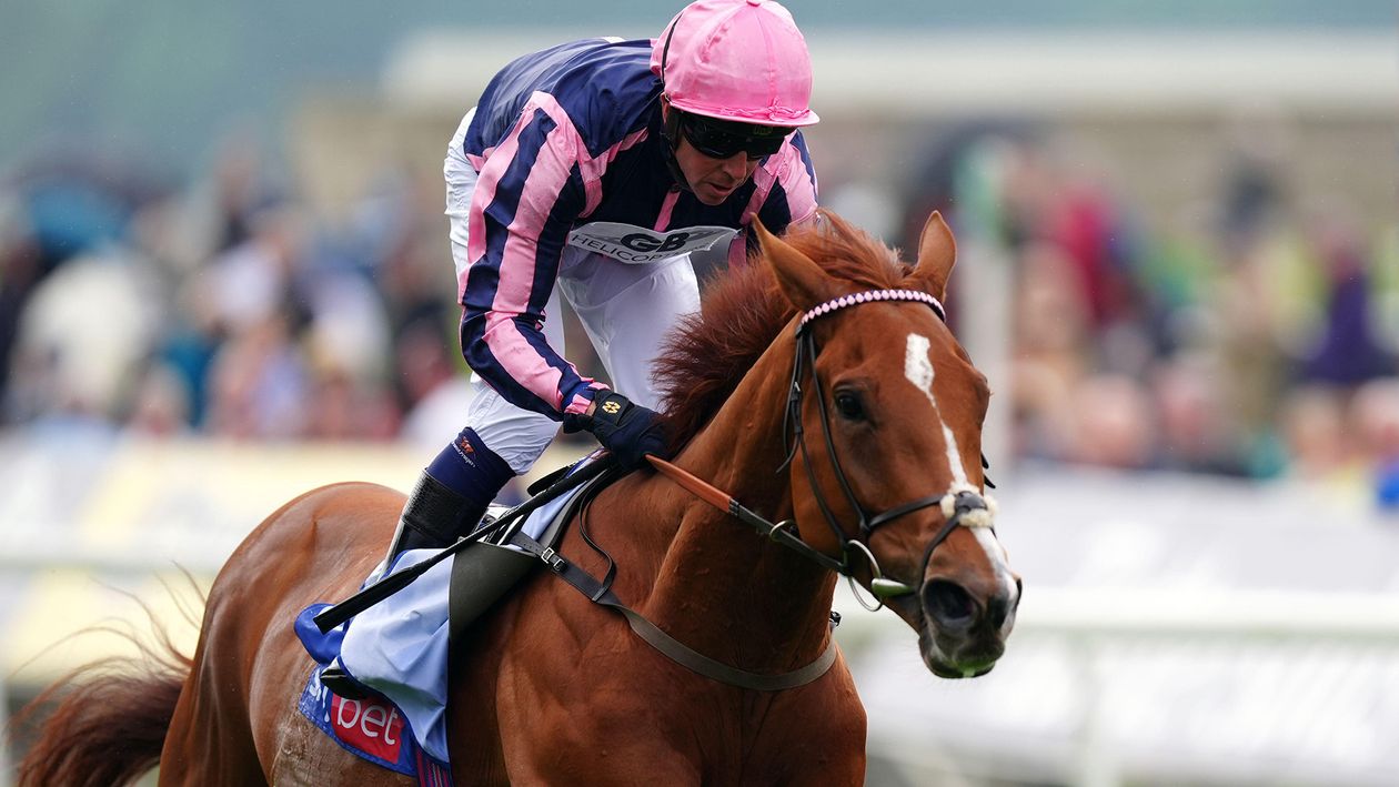 Ebor Festival preview: Harry Eustace on Ziggy and Crystal Delight