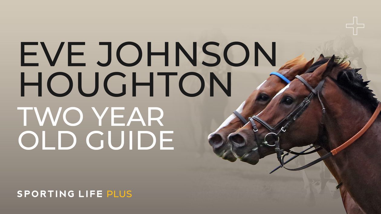 Dan Briden Two-Year-Old Guide: Eve Johnson-Houghton