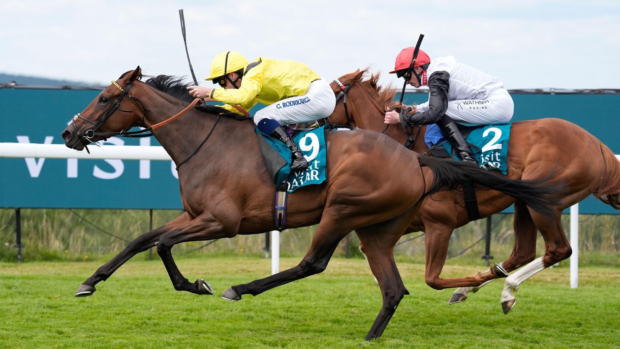 Owen Burrows eyeing Ascot Group One with Waardah