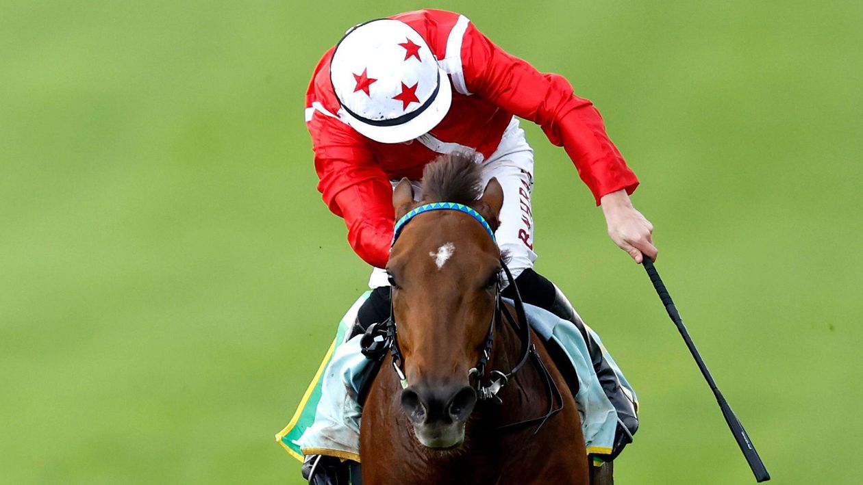 Timeform's Horses To Follow for the 2024 Flat season: Shuwari