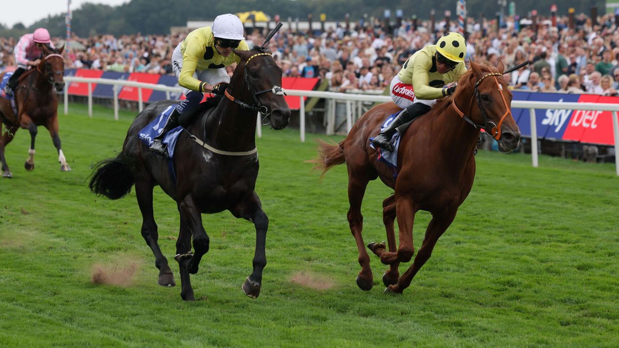 King Of Cities won the Sky Bet Strensall Stakes at York's Ebor Festival ...