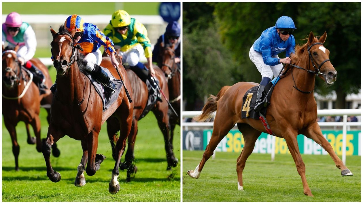 Betfred 1000 Guineas preview: David Ord sets the scene