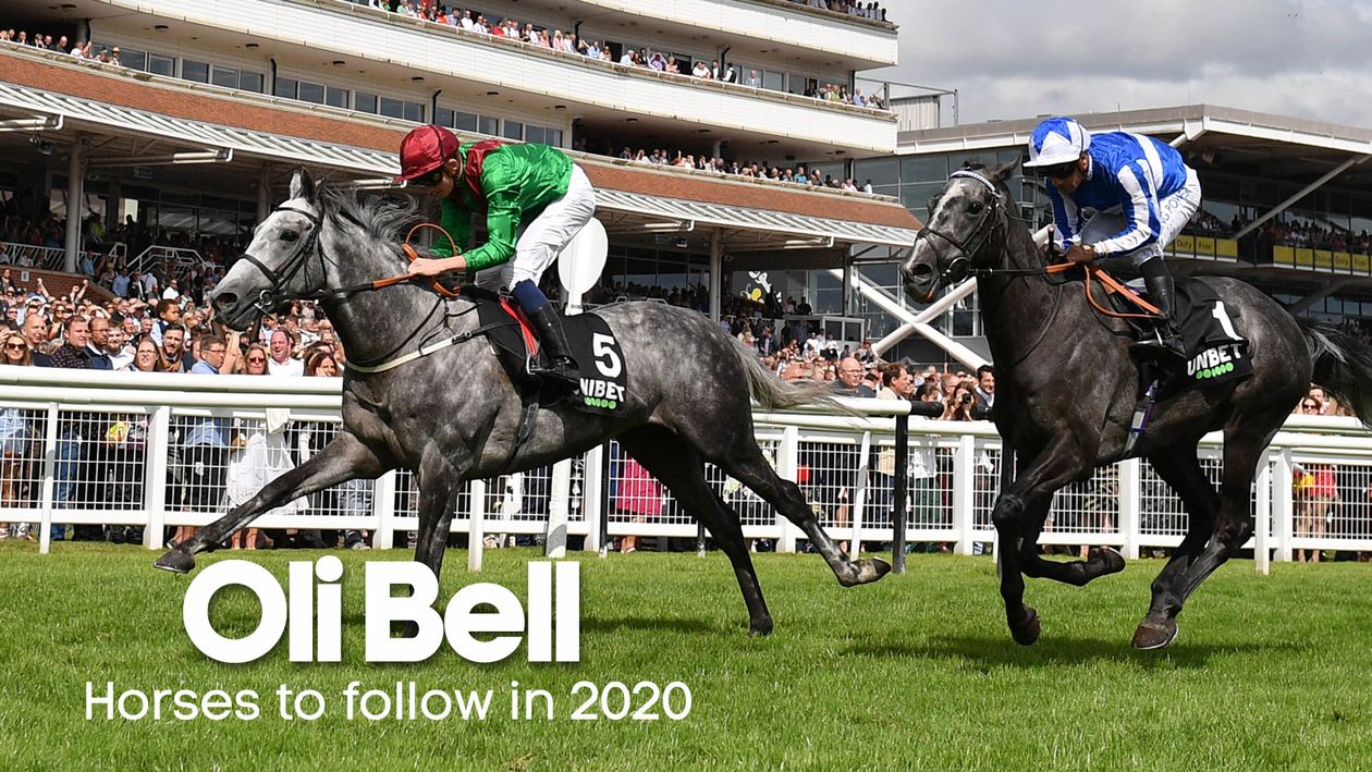 Oli Bell speaks to trainers and industry experts for their horses to ...