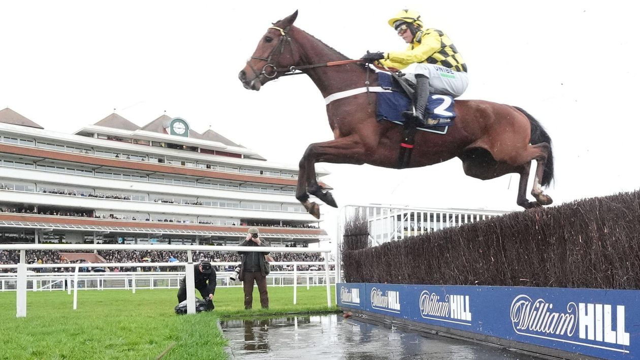 Cheltenham Festival analysis: Arkle glimmer for Lulamba rivals despite ...