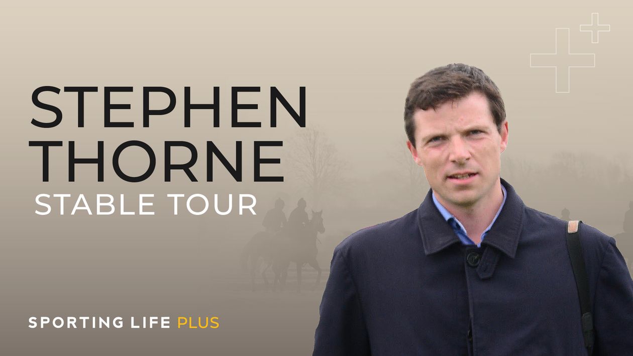 Stephen Thorne Stable Tour: Guide to his 2025 team