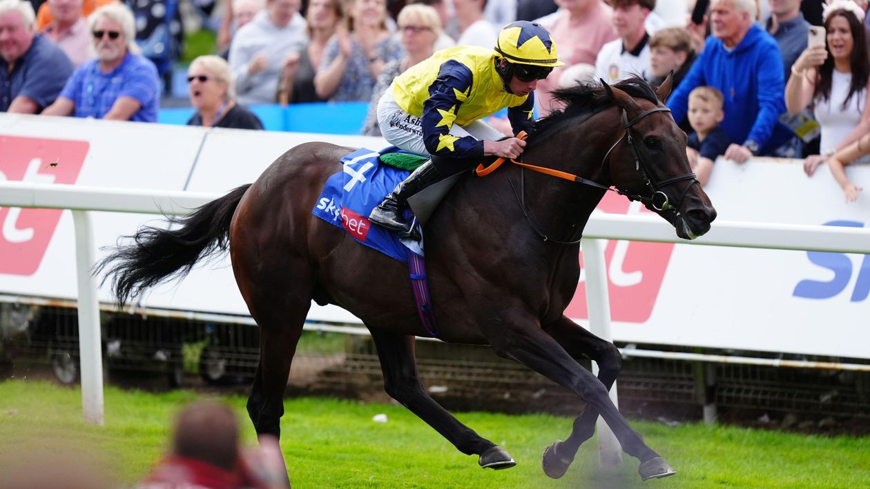 Tom Clover: Five to follow for 2025 Flat season