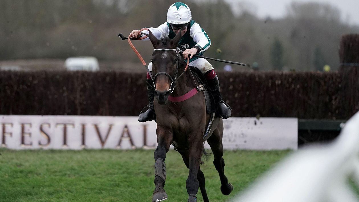 L'Homme Presse on target for Boodles Cheltenham Gold Cup