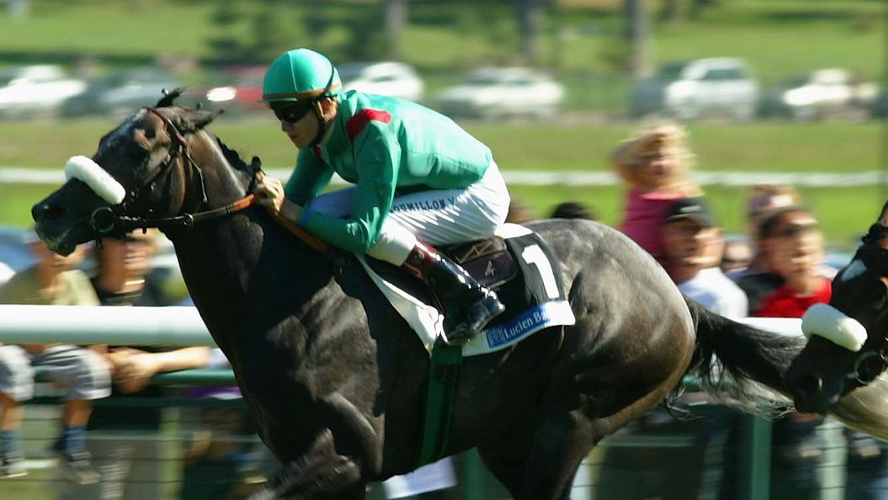 Death of brilliant Arc winner Dalakhani, aged 21