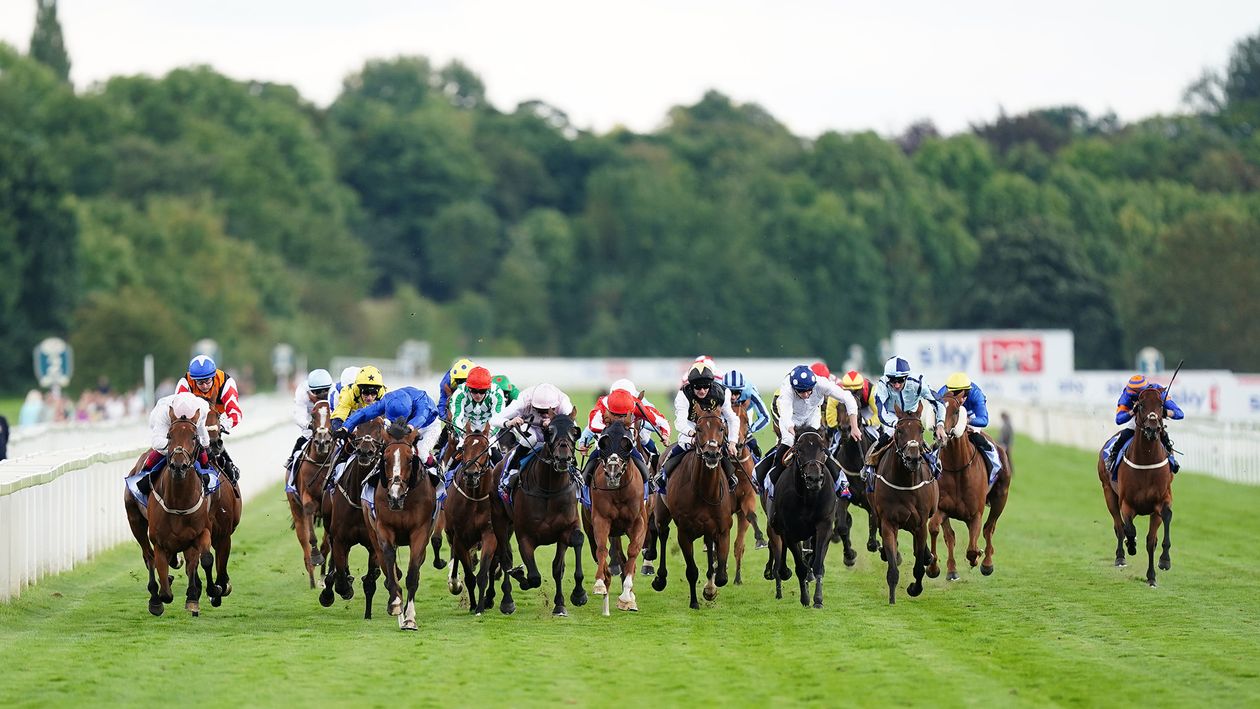 York Eyecatchers: Horses to follow from Sky Bet Ebor Festival