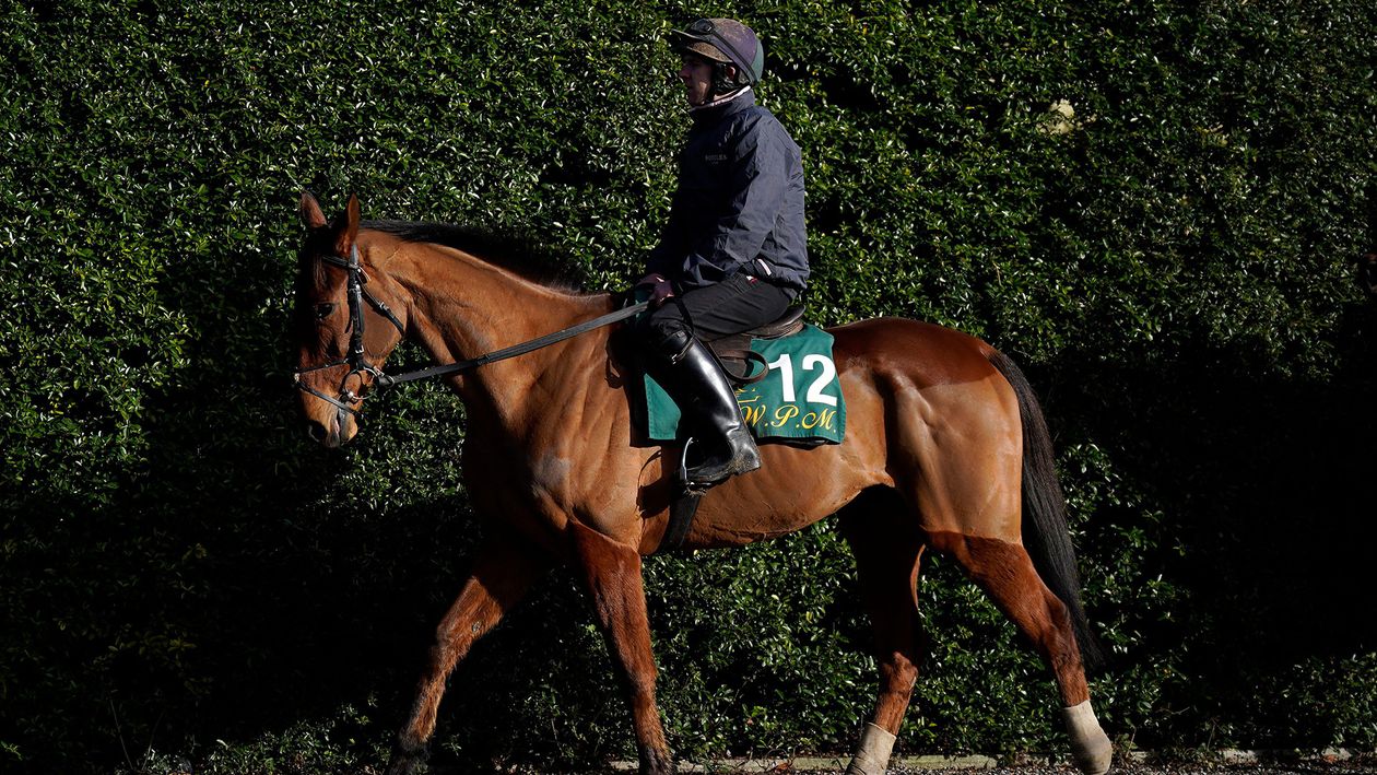 Ballyburn heads Willie Mullins' team of novice hurdlers for Cheltenham ...