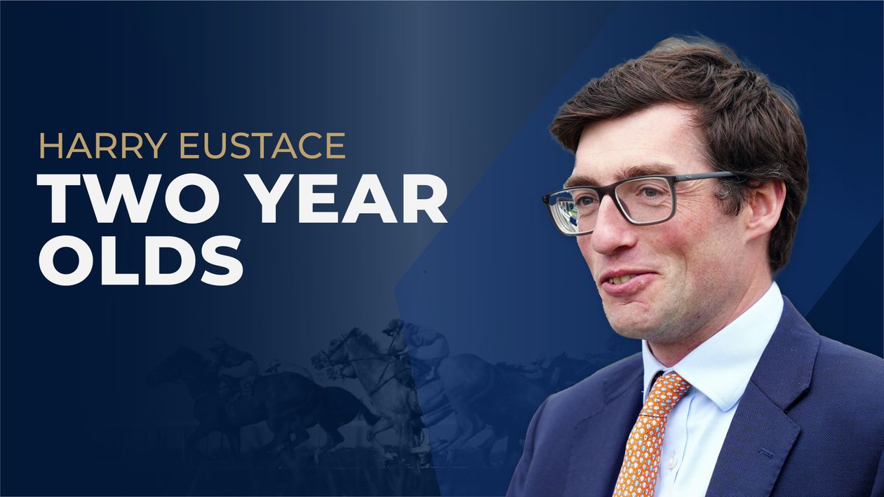 Dan Briden Two-Year-Old Guide: Harry Eustace