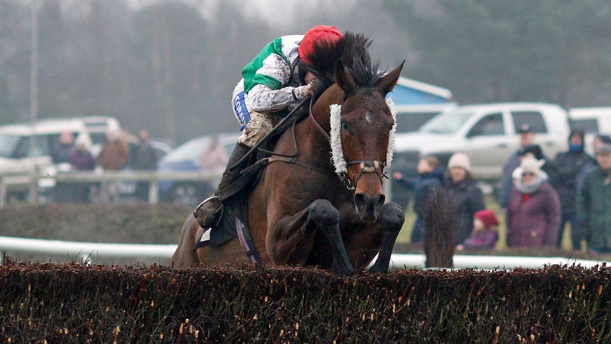 BoyleSports Becher Handicap Chase preview: Excitement building for Sidi ...