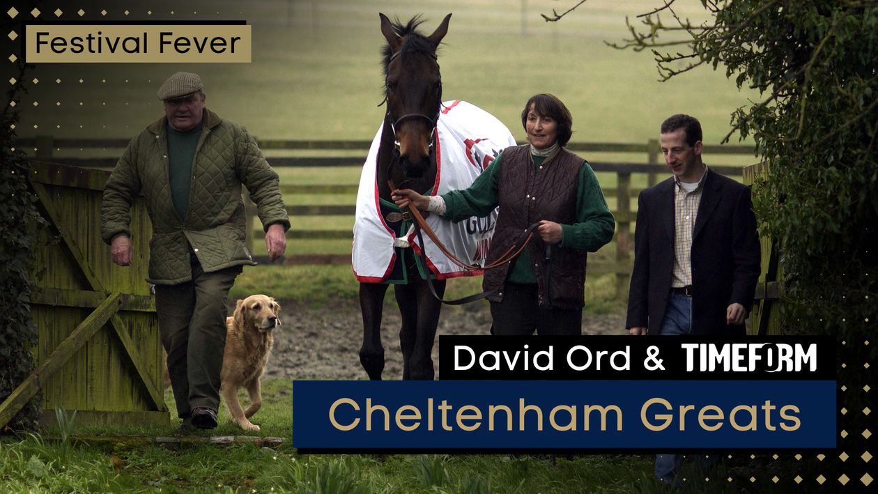 Festival Fever | Timeform Cheltenham Greats: Best Mate