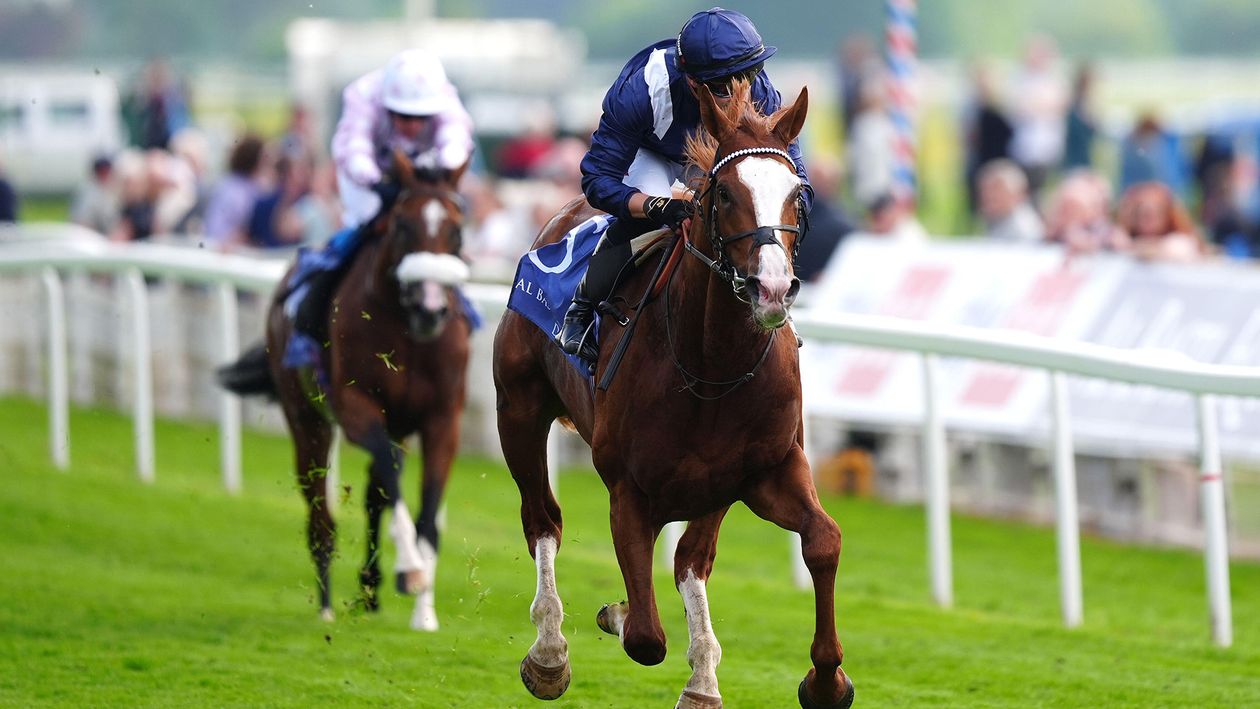 'Sensationally frustrating time' for William Haggas with Economics