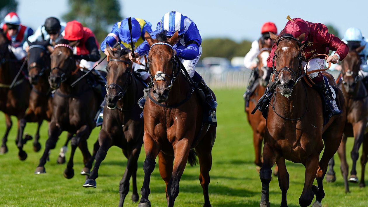 Shaara holds on in Yarmouth thriller for John and Thady Gosden