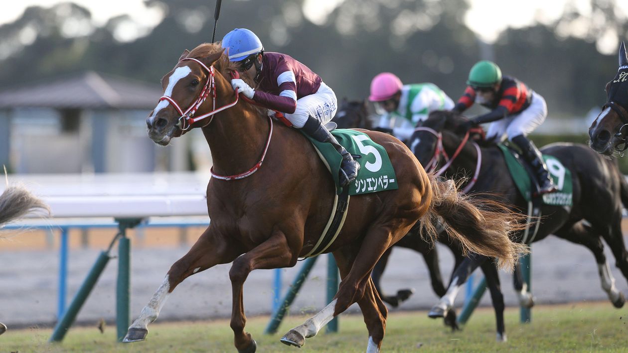 Race In Focus: Royal Bahrain Irish Champion Stakes tips and analysis ...