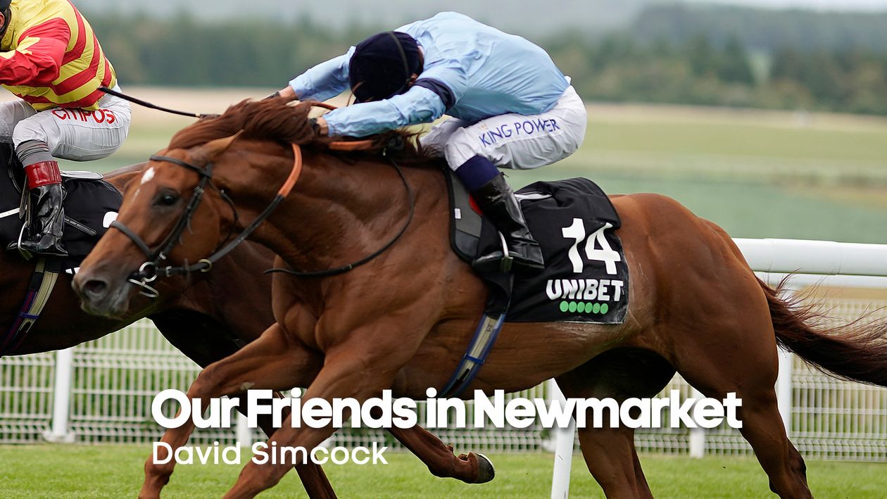 Our Friends in Newmarket: David Simcock Stable Tour featuring Desert ...