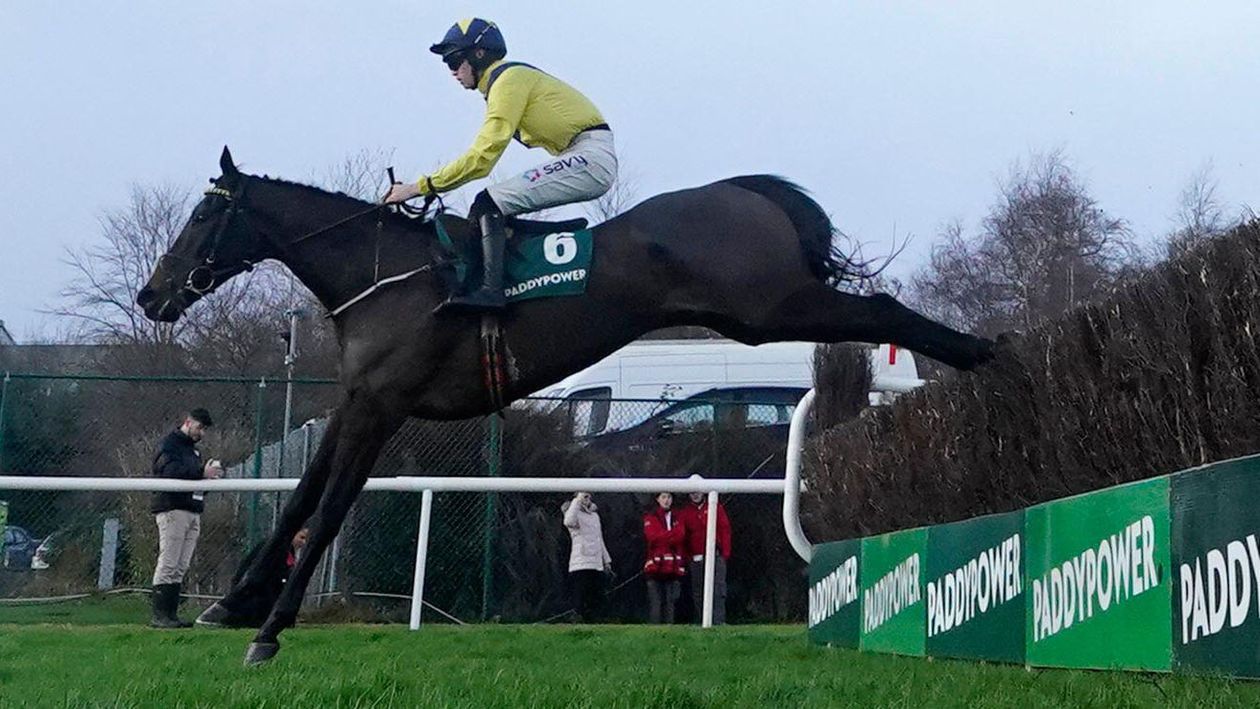 Timeform ratings analysis from Leopardstown and Limerick